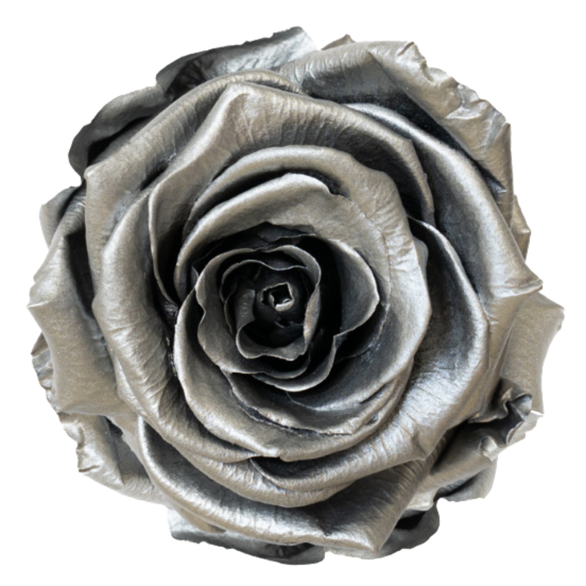 Silver - Hoja Verde | A remarkable focus that lasts