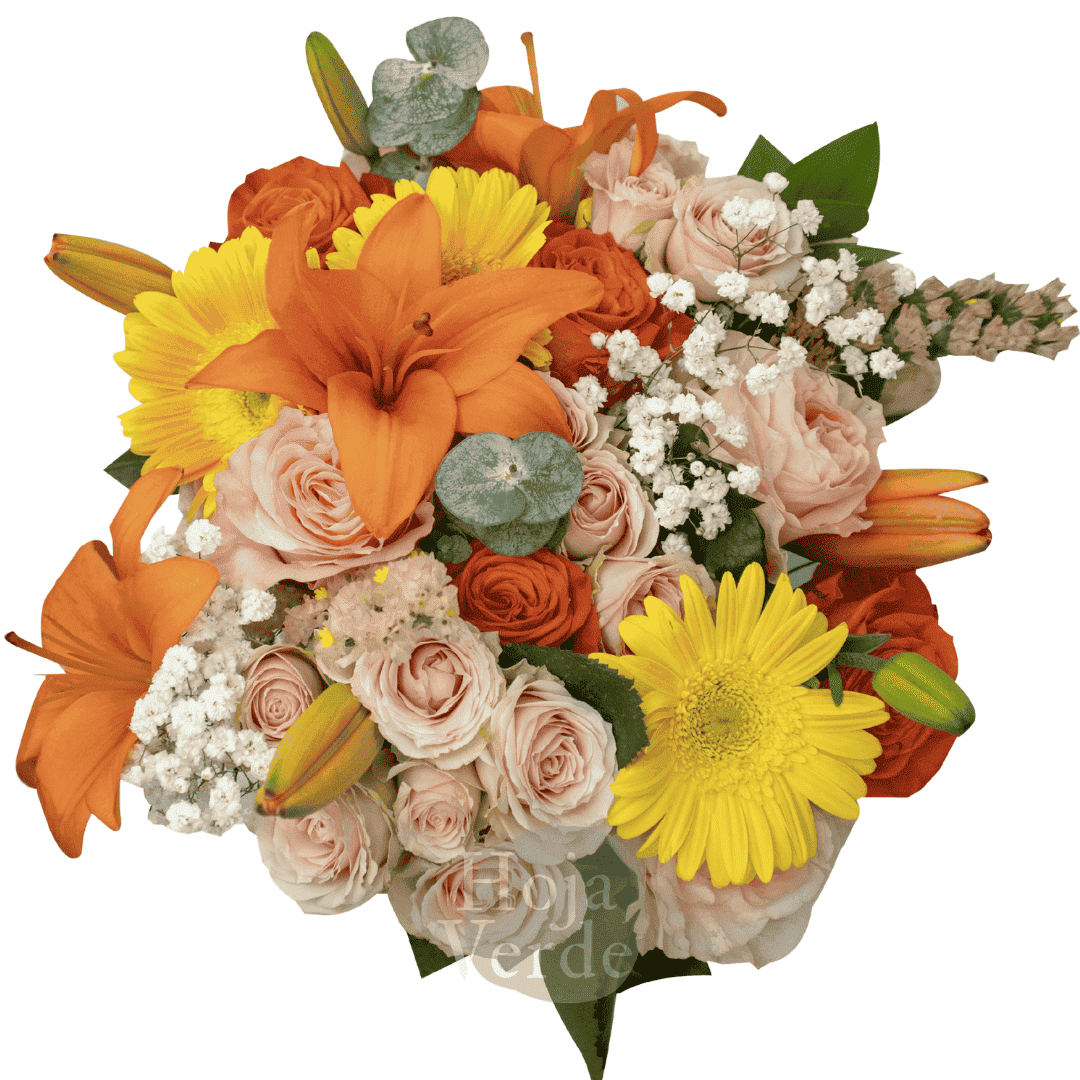 Bouquet Radiance - Hoja Verde | A remarkable focus that lasts